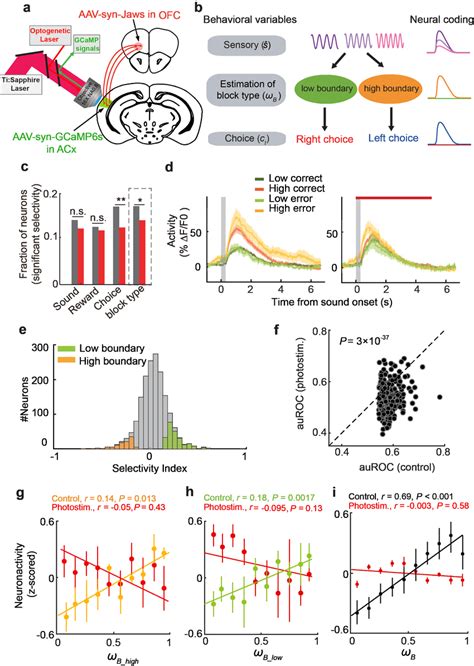 Auditory Cortex Neurons Encode Category Boundary Estimate With