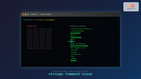 grep command in linux complete guide to text pattern search and file