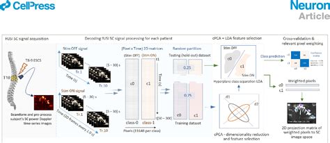 Figure 1 From Functional Ultrasound Imaging Of The Human Spinal Cord Semantic Scholar