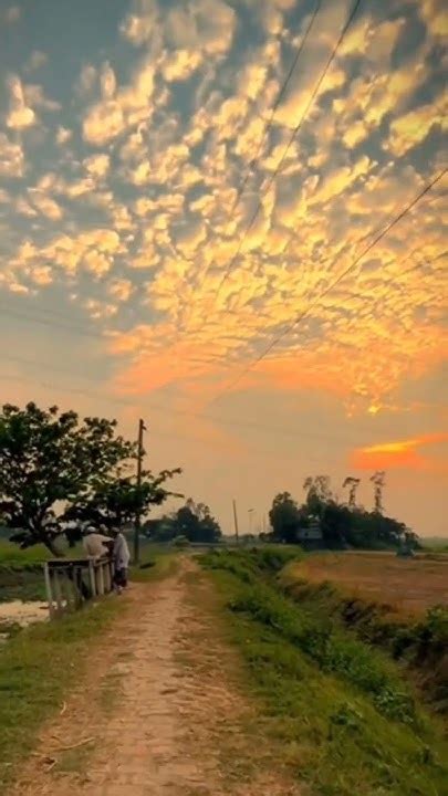 প্রকৃতির গ্রাম New Love Beautiful Alovesobeautiful Youtube