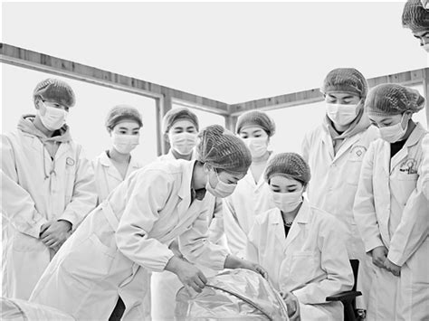 “校企合作”促就业