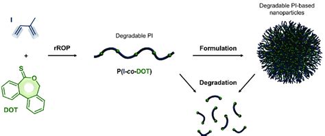 Synthesis Of Degradable Vinyl Polymer Nanoparticles Via Radical Ring Download Scientific