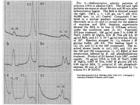 Ppt Tertiary Structure Supercoiled Dna Powerpoint Presentation Free Download Id 3839051