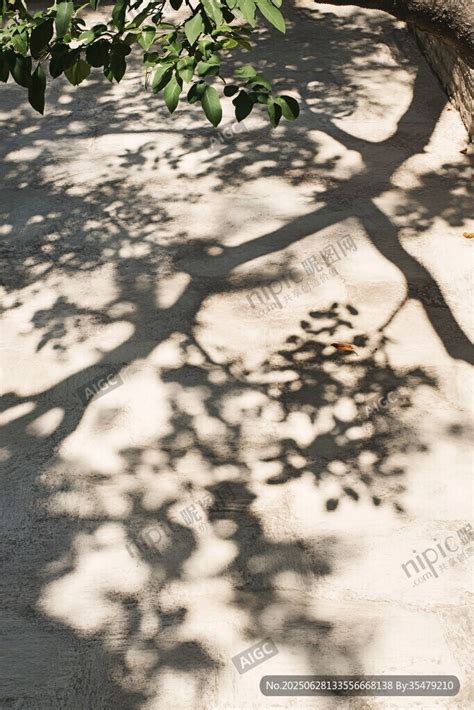 Ai创作图树影 地面 光影 树叶 阳光 影子 静谧 自然 户外 景象 光斑 质感 纹理 空间 氛围 昵图网
