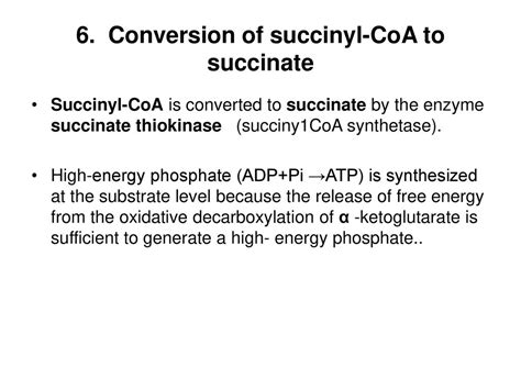 Chapter 6 3 Oxidative Degradation Of Glucose To Co2 Ppt Download