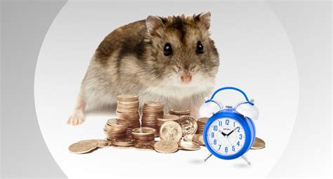 How To Create A Money Lending Mobile App 5 Practical Ideas