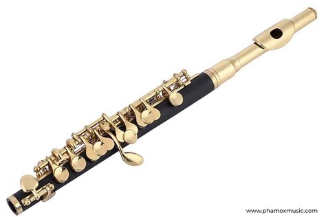 Piccolo A Musical Instruments Phamox Music