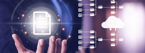 Software Migration Service