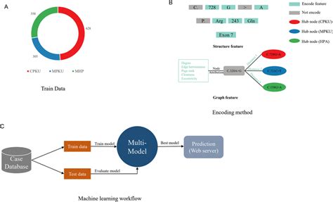 scheme of the framework of ppml a the pku phenotype is classified in