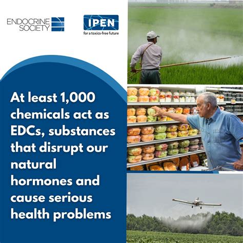 Endocrinedisruptingchemicals Edcs Plastics Phthalates Endocrine Society