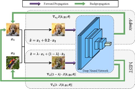 Figure 1 From Rethinking Mixup For Improving The Adversarial Transferability Semantic Scholar