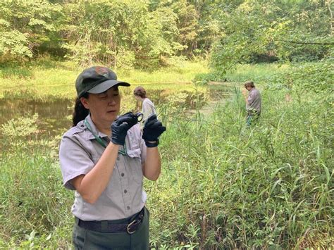 “cracking The Code” On Mercury Bioaccumulation U S National Park Service
