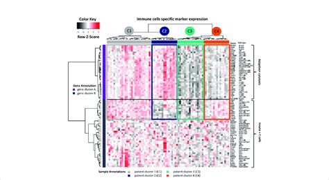 Immune Cell Type Specific Gene Expression Unsupervised Hierarchical