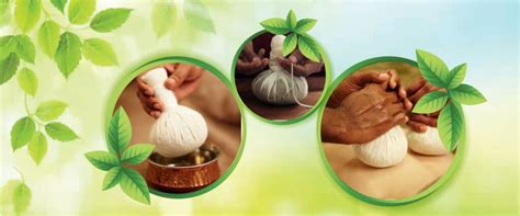 Kizhi In Ayurveda Kizhi Massage Kizhi Treatment In Ayurveda Dubai
