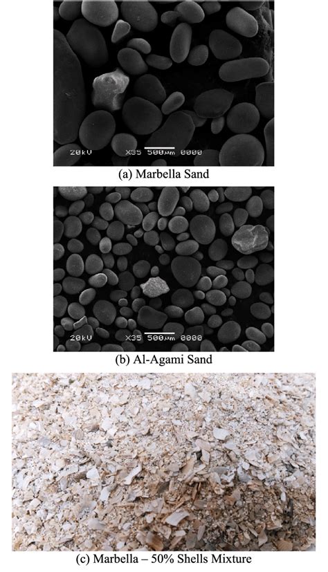 SEM And Photographs Of Soil Samples Download Scientific Diagram