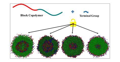 dissipative particle dynamics simulation on vesicles self assembly