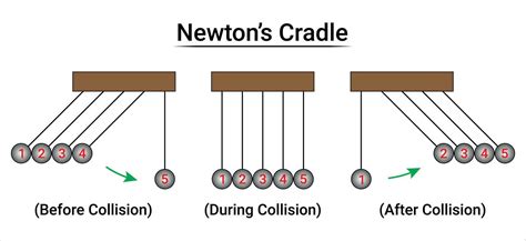 Newton S Cradle Experiment Part Vector Art At Vecteezy