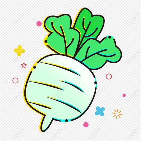 손으로 그린 무 Png 일러스트 무료 다운로드 Lovepik