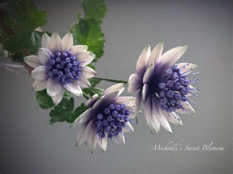 Сахарные цветы от Мишель Нгуен / Я - суперпупер