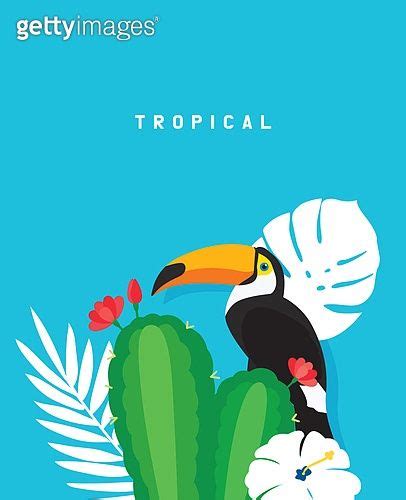 트로피칼 야자수 과일 앵무새 선인장 플라밍고 팝아트 트로피칼 야자수 열대우림 밀림 여름 포스터 이벤트 여름 Ppt Ppt디자인 다이어그램