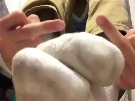 Master Andrew Thisvid