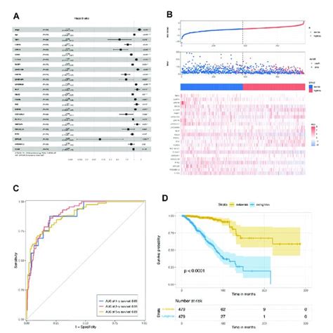 Construction Of Multivariate Cox Regression A Multivariate Cox