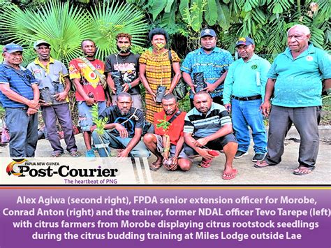 ‘citrus Has Potential For Downstream Processing Post Courier