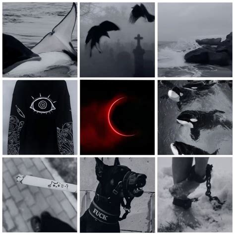 Gray And Red в 2025 г Фотоколлаж Схема смешивания цветов Милые рисунки