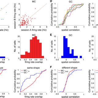 Rate Overlap And Spatial Correlation Comparison With A Repeat Session