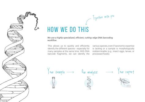 Aim Advanced Identification Methods Gmbh On Linkedin Dnabarcode