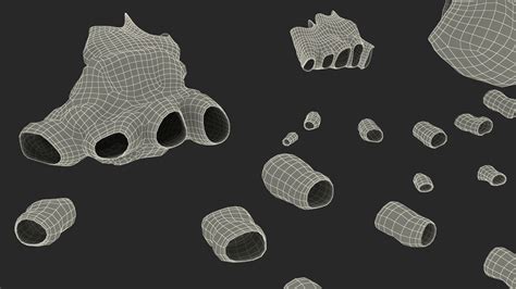 Frog Skeleton 3d Model 89 Lxo C4d Blend Fbx 3ds Max Ma Obj