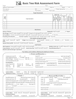 Basic Risk Assessment Form Fill Online Printable Fillable Blank PdfFiller