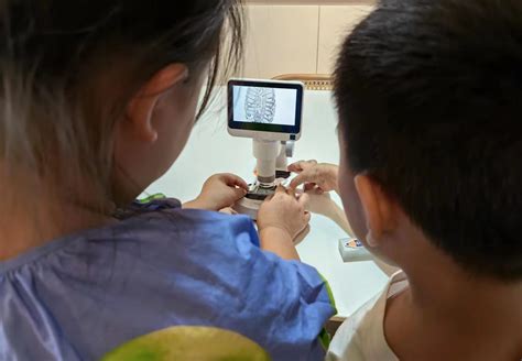 Darwin M2 Microscope Review In 2025 Baldselect