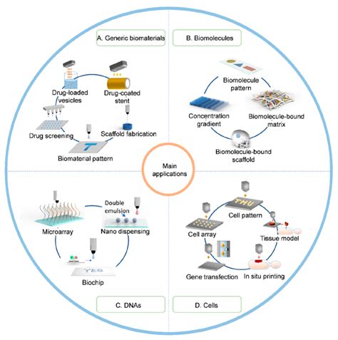 Schematic Illustration Of Major Applications Of Inkjet Bioprinting A