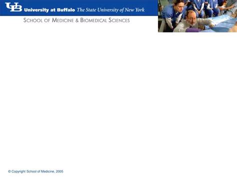 PPT UB Template PowerPoint Presentation Free Download ID