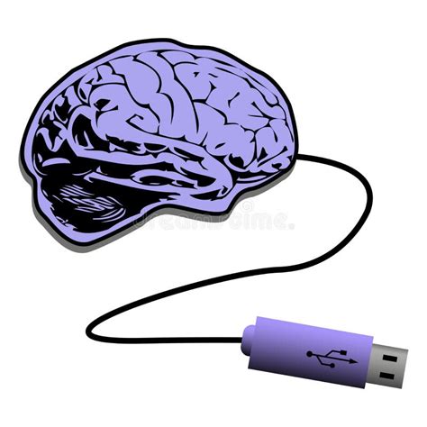 Plug In Usb Flash Drive In Brain Stock Illustration Illustration Of