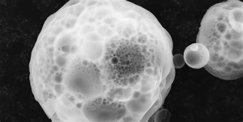 Aerosol Lib Synthesis Prototypes For Humanity