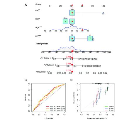 Evaluation And Development Of The Prognostic Model A Prognostic