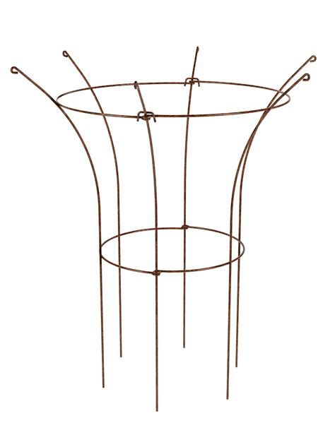 Pojengi Ja Roositugi Hansanova Kelluke Bauhof