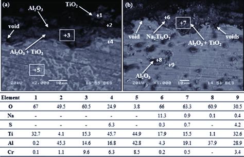 Cross Sectional Sem Images Showing Oxide Scale Microstructures With Eds