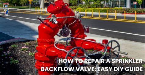How To Repair A Sprinkler Backflow Valve Easy Diy Guide Backflow Services Done Right
