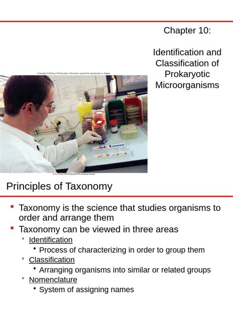 Chapter 10 Classification Of Microorganisms 1 Pdf Taxonomy Biology Dna Sequencing