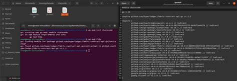 Hyperledger Fabric Instantiate Chaincode Gomod File Not Found Stack Overflow