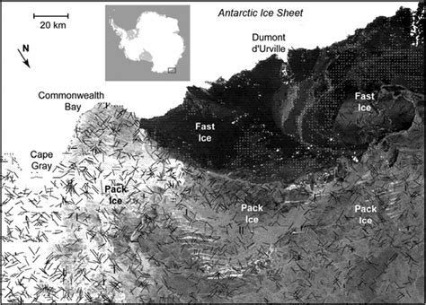 An Example Of Results From The Image Correlation Technique Used To Download Scientific Diagram