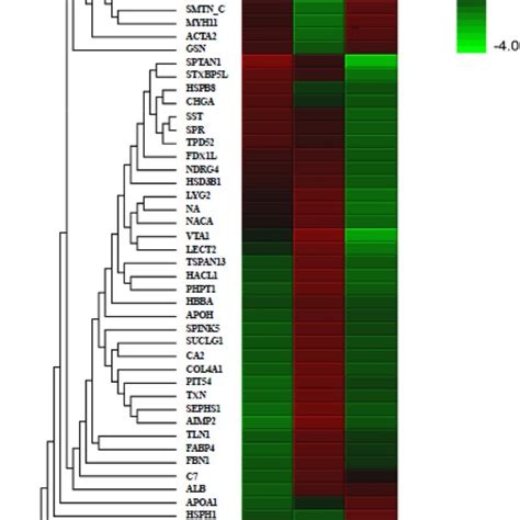 heat map and hierarchical clustering depicting the differentially