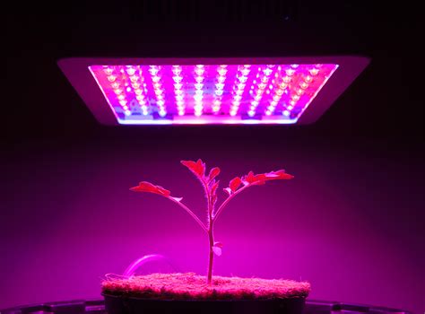 Best Led Grow Lights