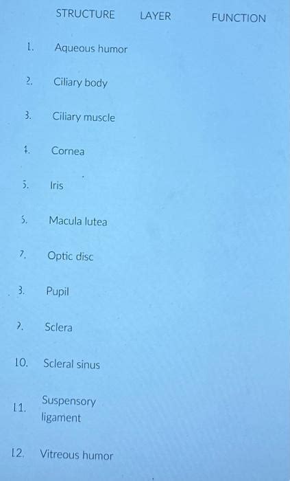Solved 10 Scleral Sinus