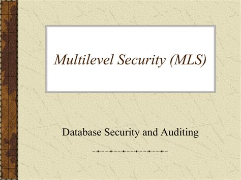 Multilevel Secure Relational Model