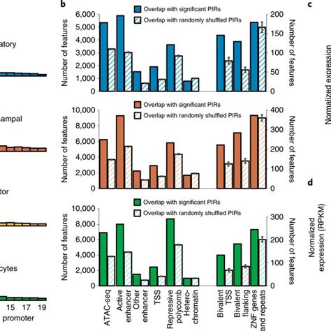Genome Wide Mapping Of Physical Chromatin Interactions In Functionally