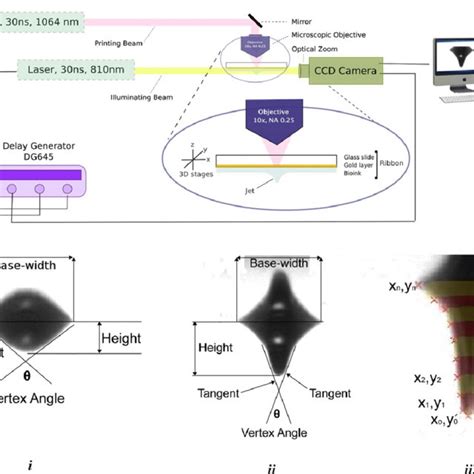 A Schematic Diagram Of TRI Setup Used In These Experiments B Download Scientific Diagram